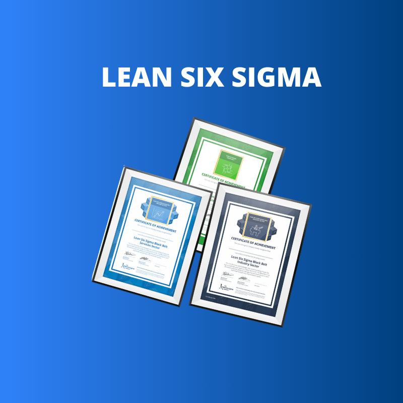Formation Lean Six Sigma online - Amine Group