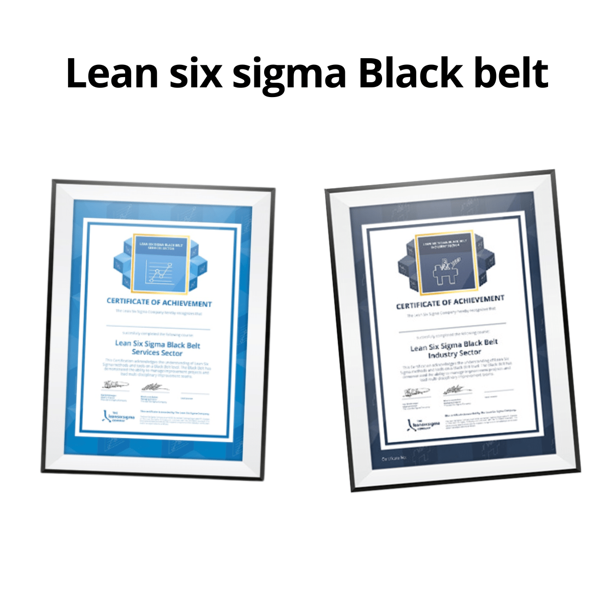 Qu'est-ce que Black Belt Lean Six Sigma : Certifications Services et Industry - Amine Group